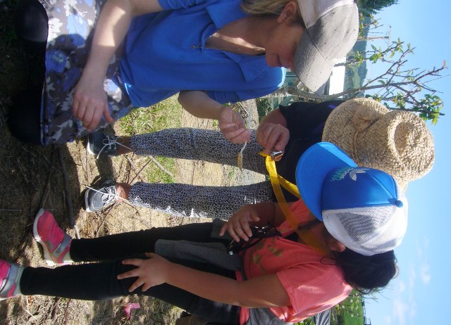 Wainui School—22 November 2016 – CUE Haven